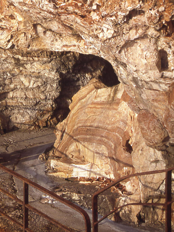 roccia..........calcare del cretaceo , Natura Mediterraneo | Forum ...