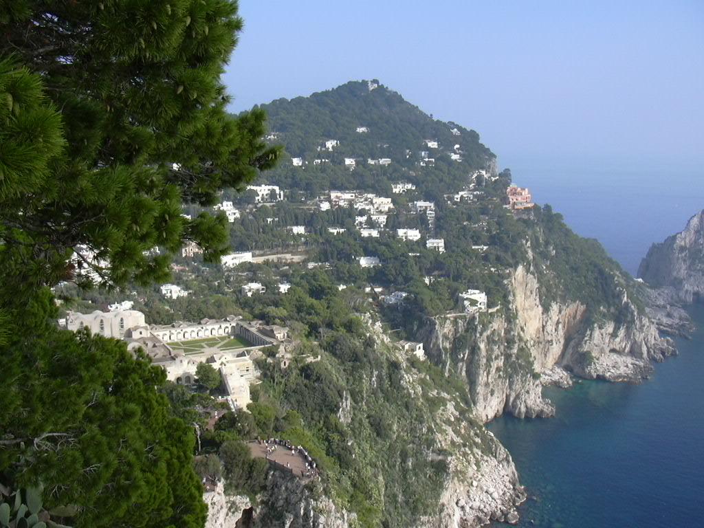 Capri , Natura Mediterraneo | Forum Naturalistico