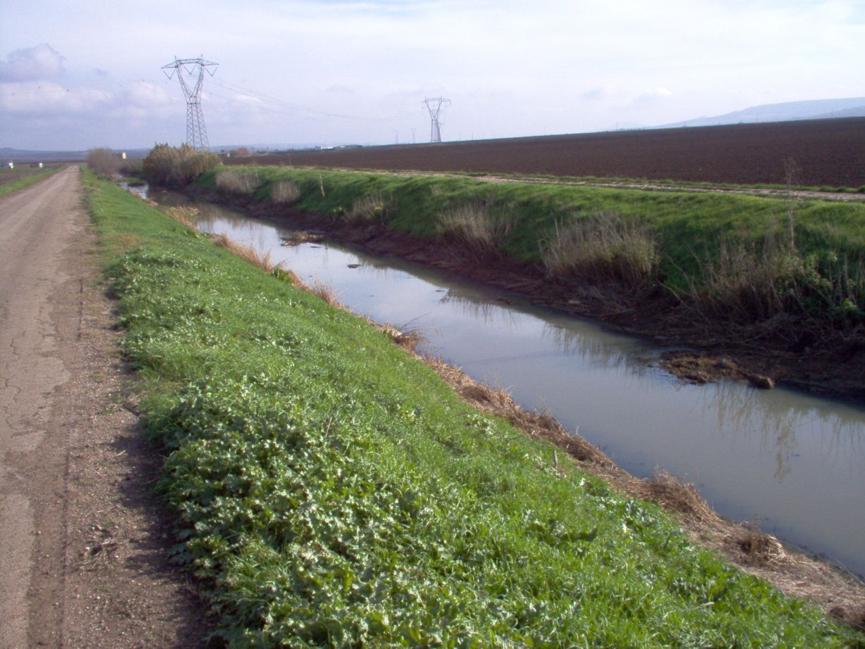 I Fiumi della Basilicata , Natura Mediterraneo | Forum Naturalistico