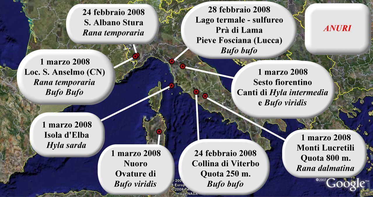 Avvistati Anfibi? Dove? Quando? , Natura Mediterraneo | Forum Naturalistico