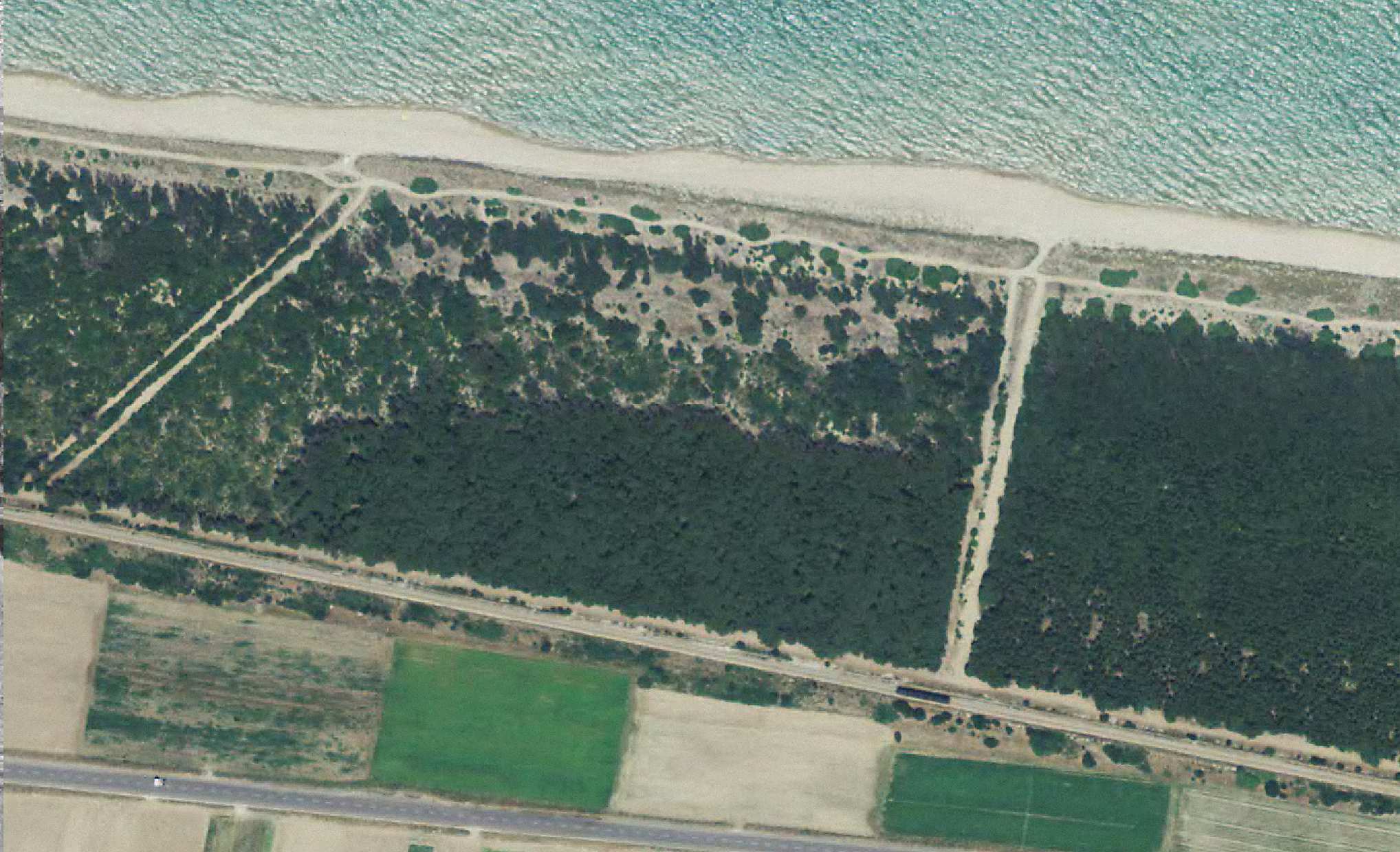 Spiaggia di Marina di Chieuti, Puglia: spiagge italiane su trovaspiagge.it