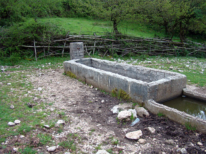 Fontanili del Lazio , Natura Mediterraneo | Forum Naturalistico