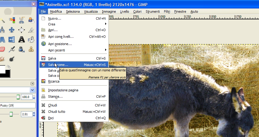 GIMP: Maschere di Livello , Natura Mediterraneo | Forum Naturalistico