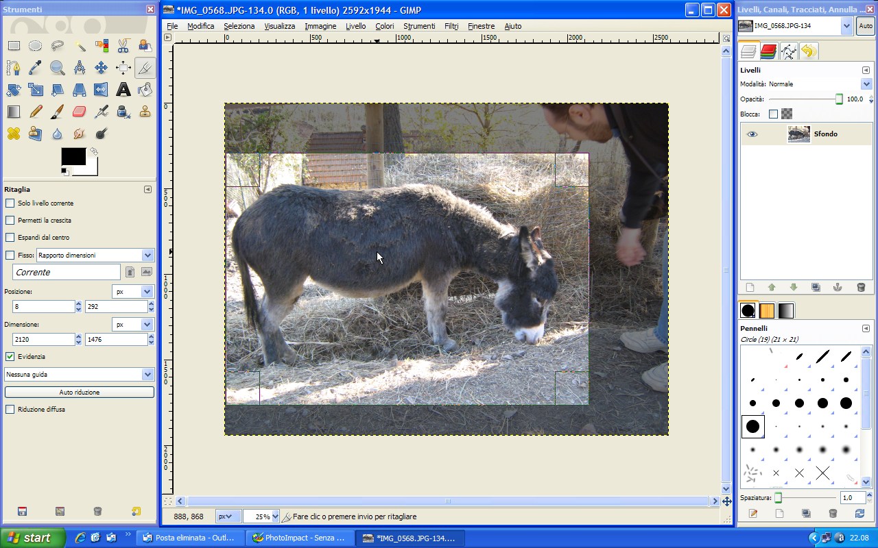 GIMP: Maschere di Livello , Natura Mediterraneo | Forum Naturalistico