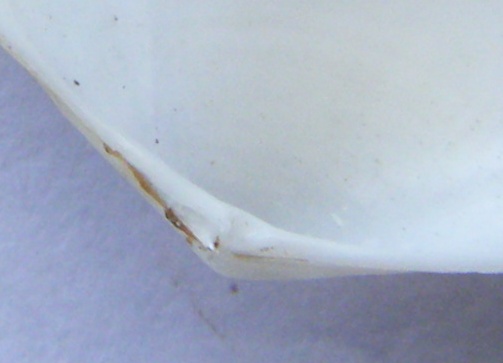 Bivalve3 Macoma cumana, , Natura Mediterraneo | Forum Naturalistico