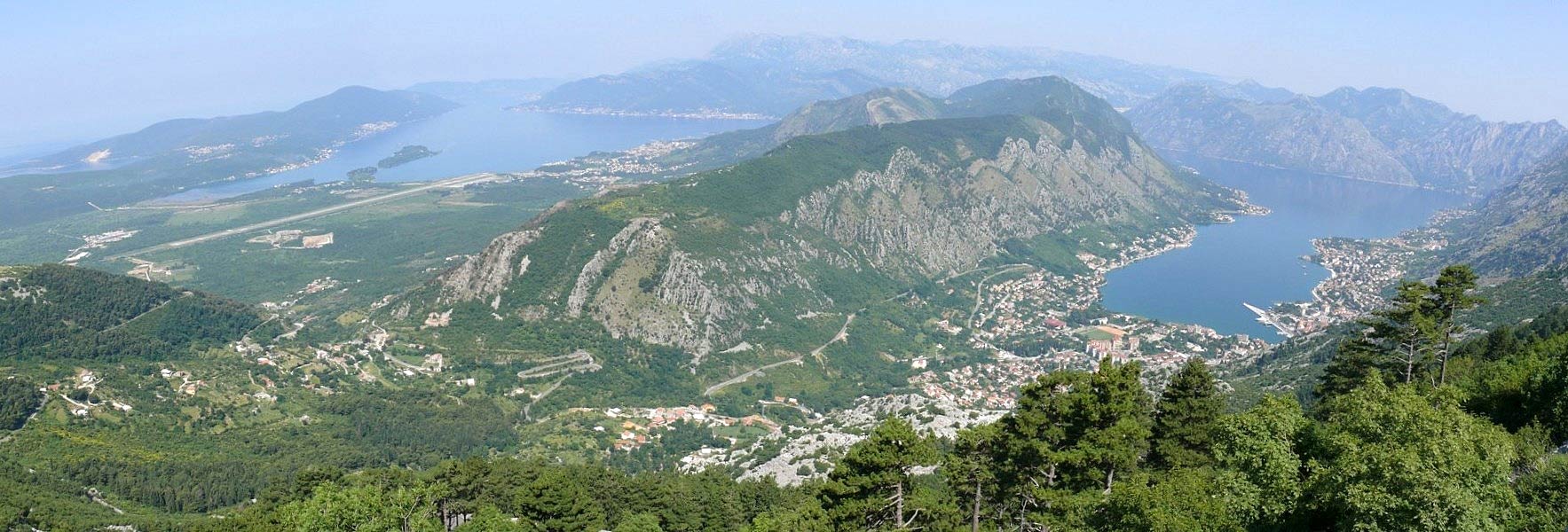 Ai Rafididi piace il formaggio? , Natura Mediterraneo | Forum Naturalistico