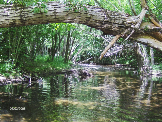 Fiumi e torrenti di Calabria , Natura Mediterraneo | Forum Naturalistico