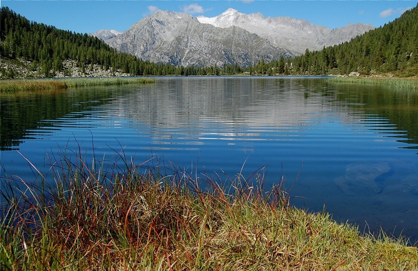 Laghi di San Giuliano e Garzonè (Adamello meridionale) , Natura ...