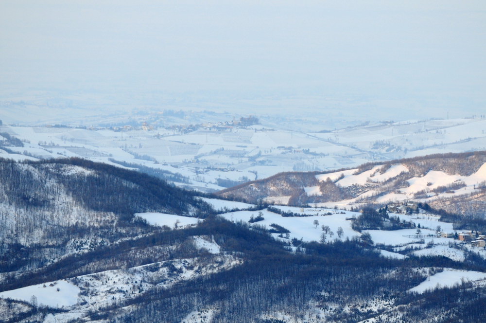 Monte Penice , Natura Mediterraneo | Forum Naturalistico