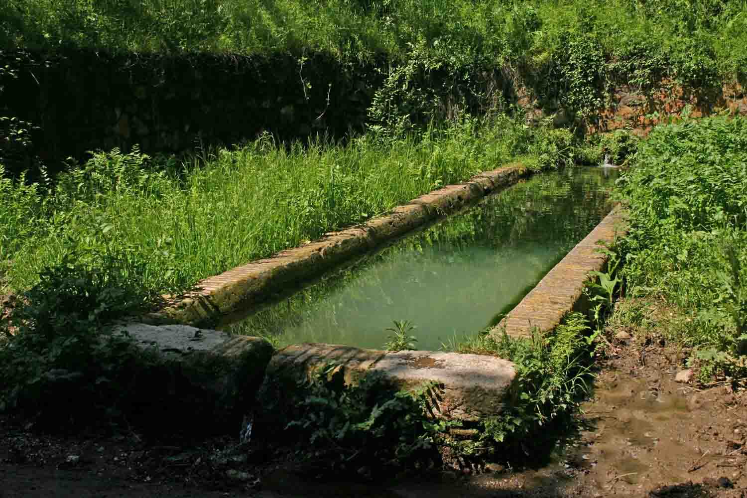 Fontanili del Lazio , Natura Mediterraneo | Forum Naturalistico