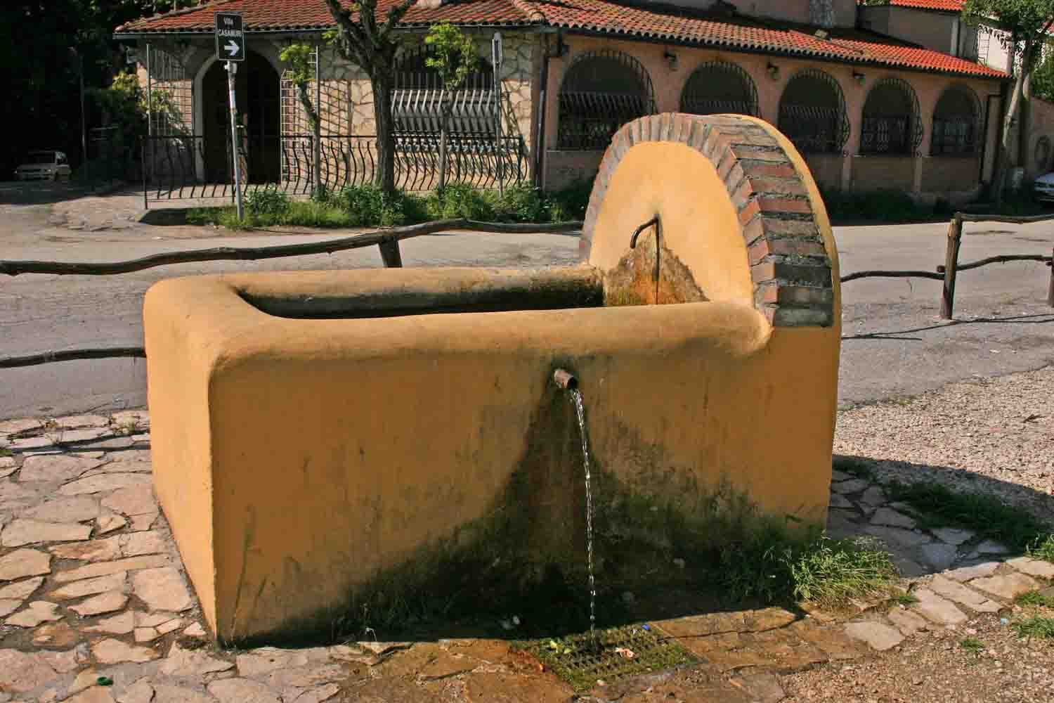 Fontanili del Lazio , Natura Mediterraneo | Forum Naturalistico