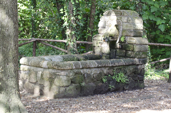 Fontanili del Lazio , Natura Mediterraneo | Forum Naturalistico