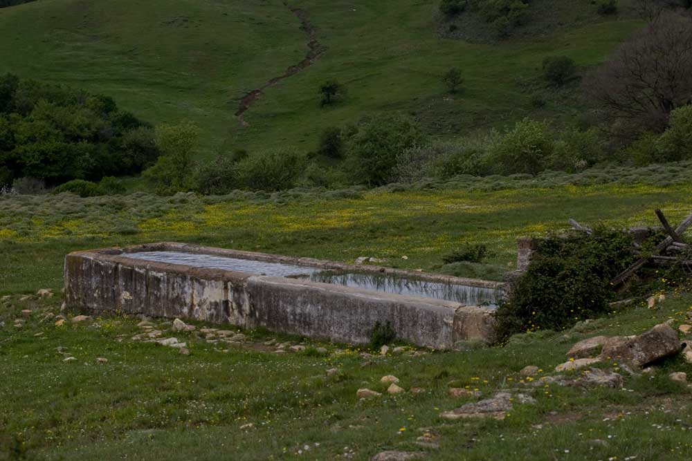 Fontanili del Lazio , Natura Mediterraneo | Forum Naturalistico