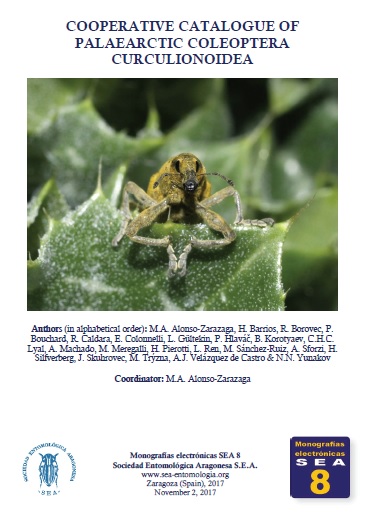 Apionidae? No, Nanophyidae: Hypophyes pallidulus , Natura Mediterraneo ...