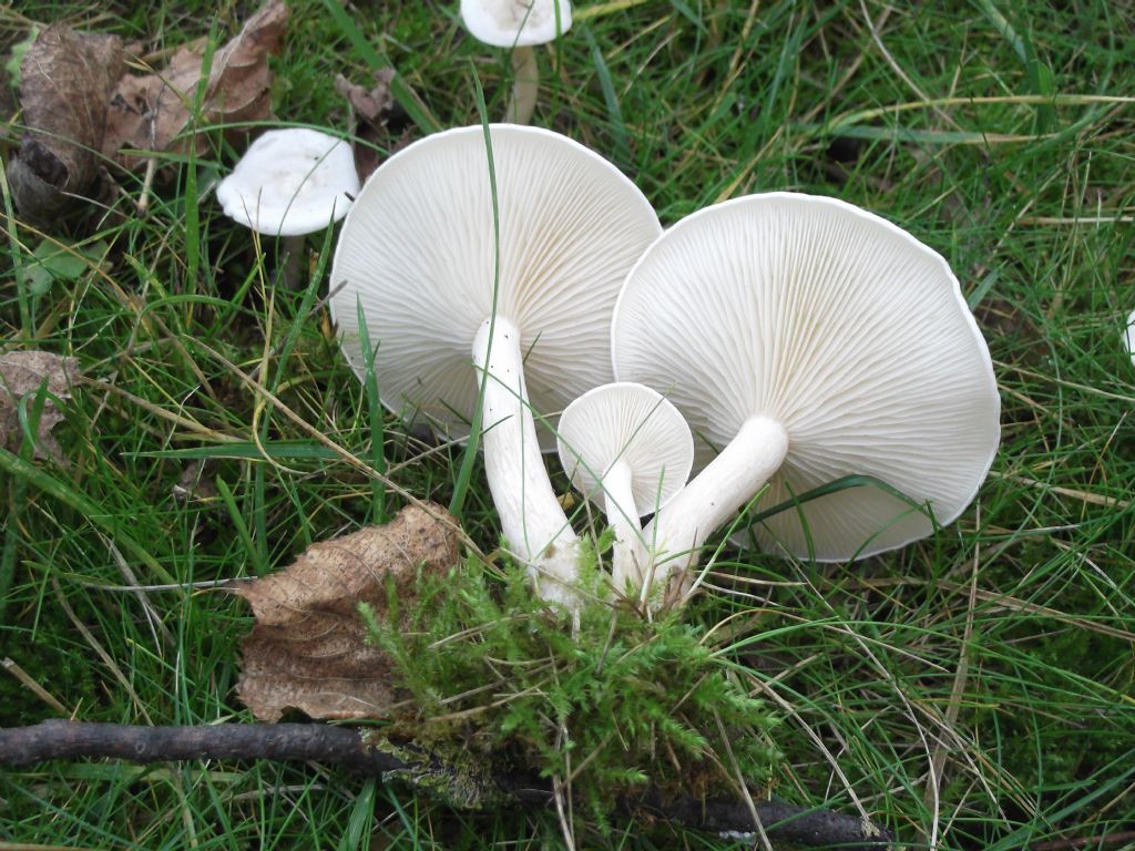 Vecchie foto di qualche anno fà , Natura Mediterraneo | Forum Naturalistico