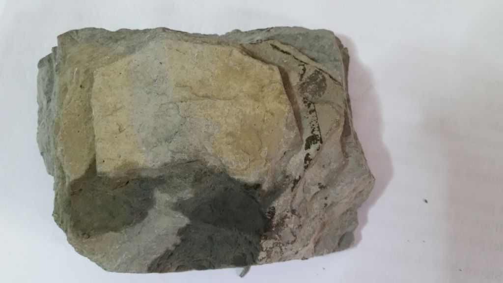 Roccia10 - marna/calcare marnoso , Natura Mediterraneo | Forum ...