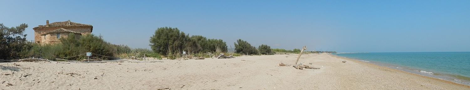 Oasi Sentina , Natura Mediterraneo | Forum Naturalistico