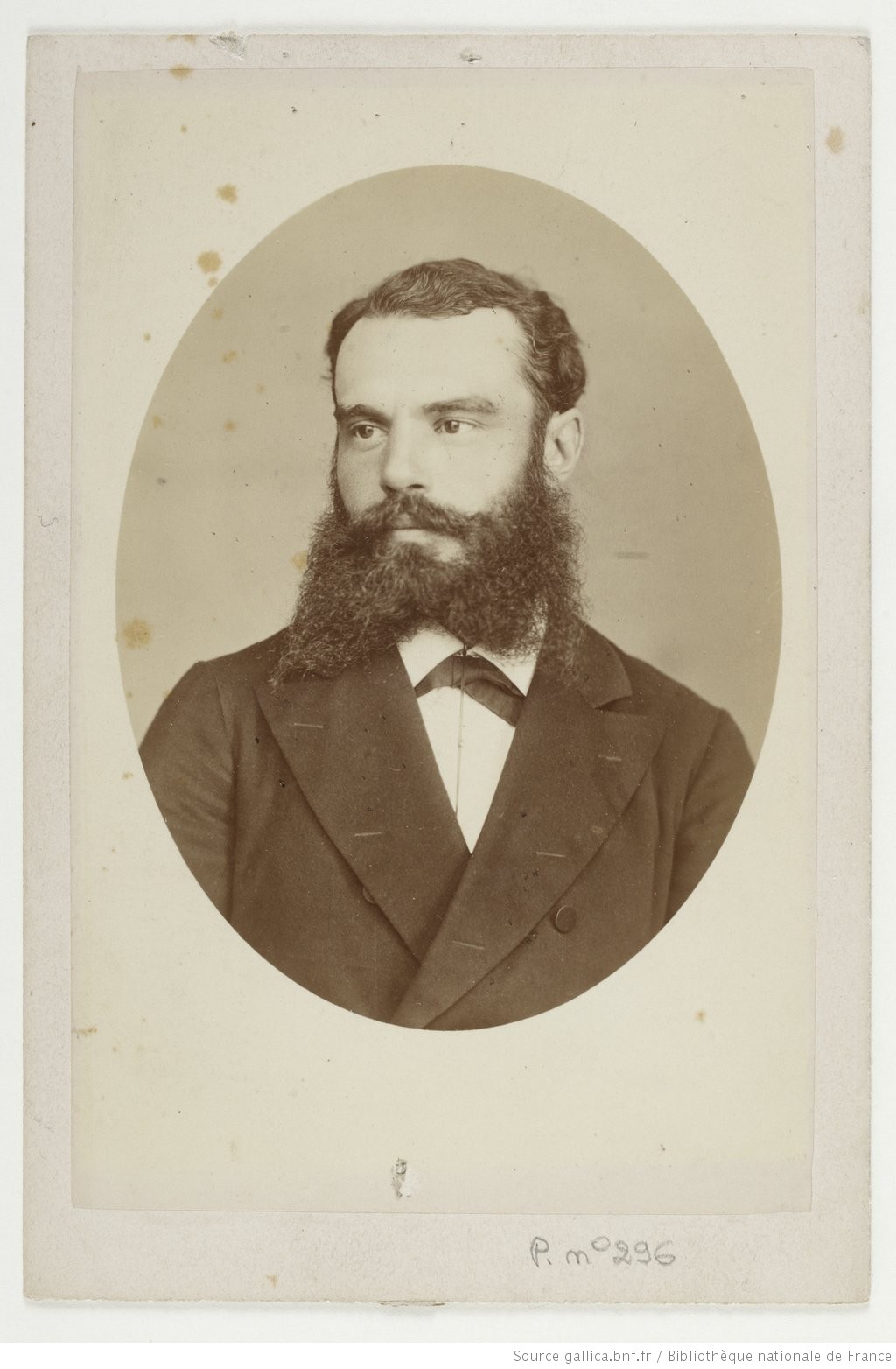 Coptocephala raffrayi, maschio (Chrysomelidae) , Natura Mediterraneo ...