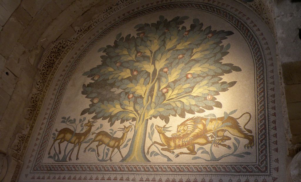 I fiori di Gerico , Natura Mediterraneo | Forum Naturalistico